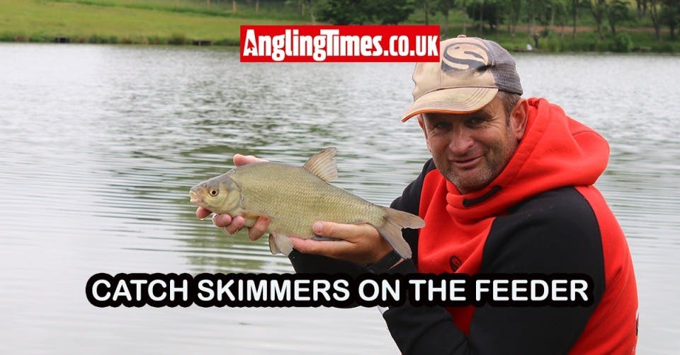 A Simple Feeder Setup for Bream and Skimmers