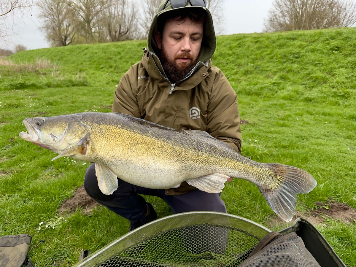 Months of blanking ends with superb zander | Angling Times
