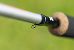 Best beginner fishing rods | Our top picks