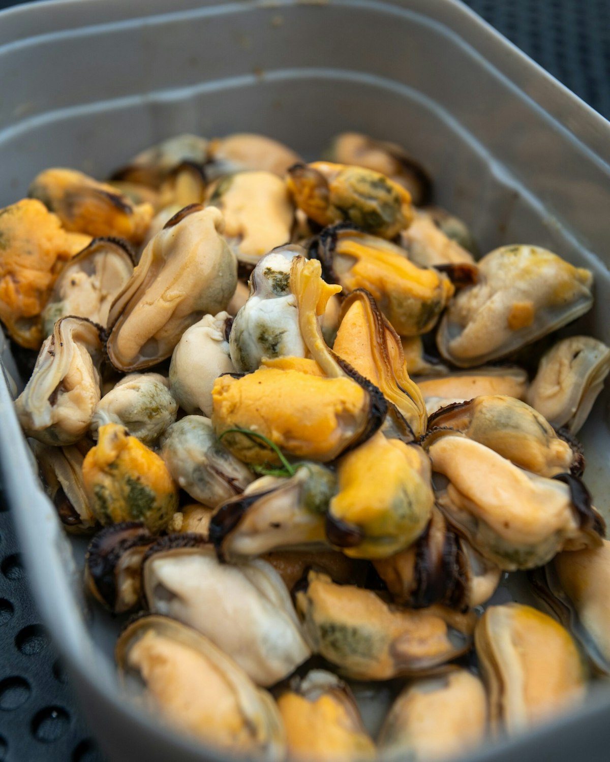 Why Fisheries Are Banning Mussels as Fishing Bait