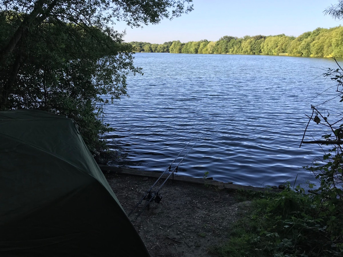How the wind affects carp fishing | Angling Times