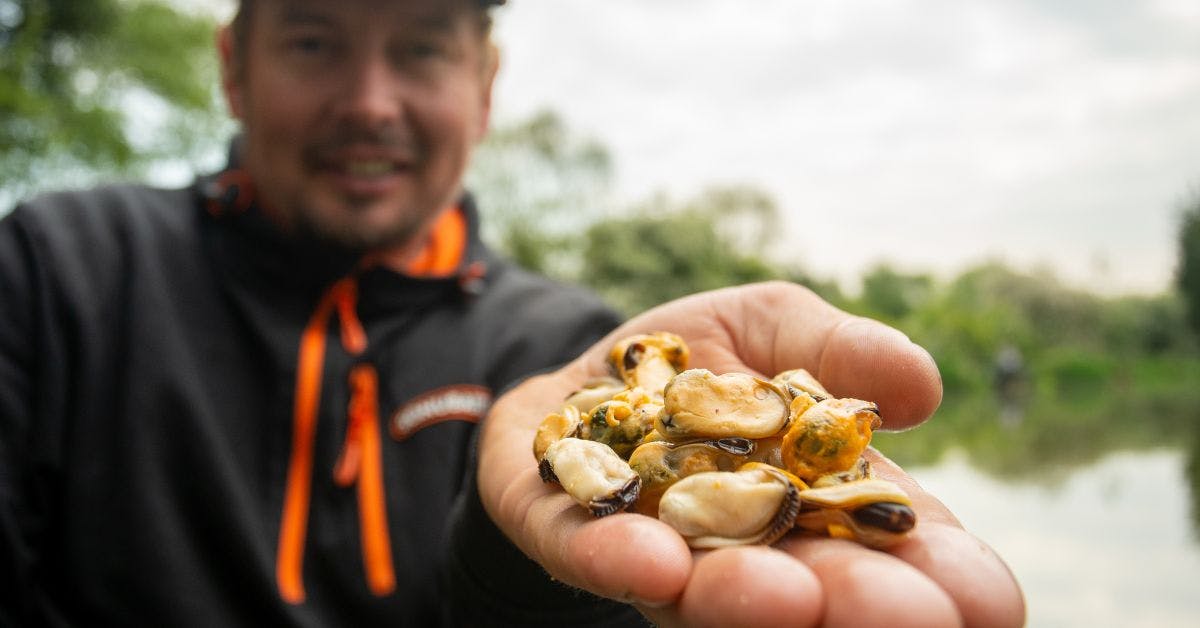 Why Fisheries Are Banning Mussels as Fishing Bait