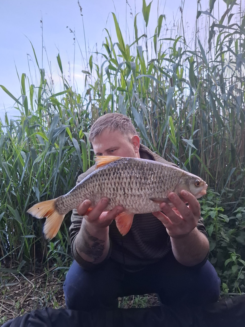 Giant Linear Roach Falls to Black Foam Zig
