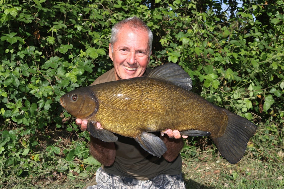 Huge Tench Continue to Fall Across Britain
