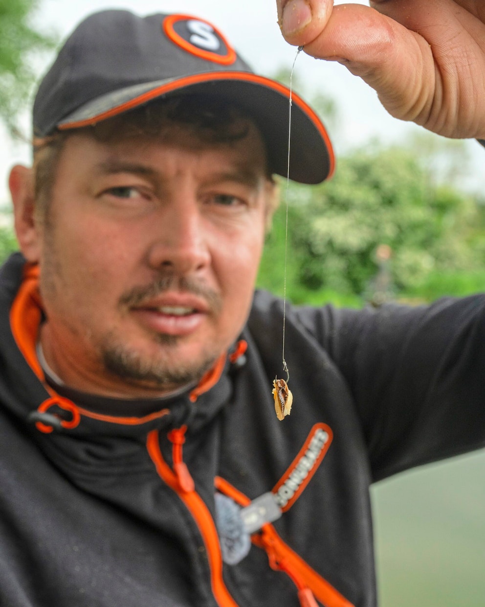 Mussels: The new super-bait for carp, tench and f1s