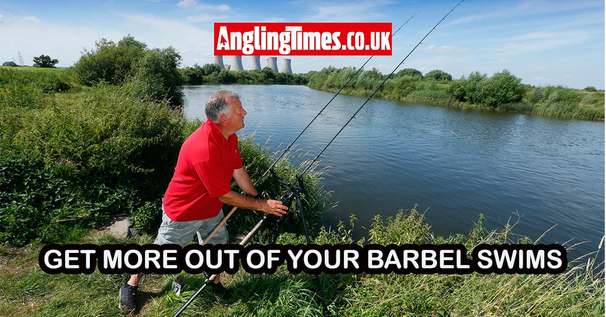 How to find and fish a swim for barbel