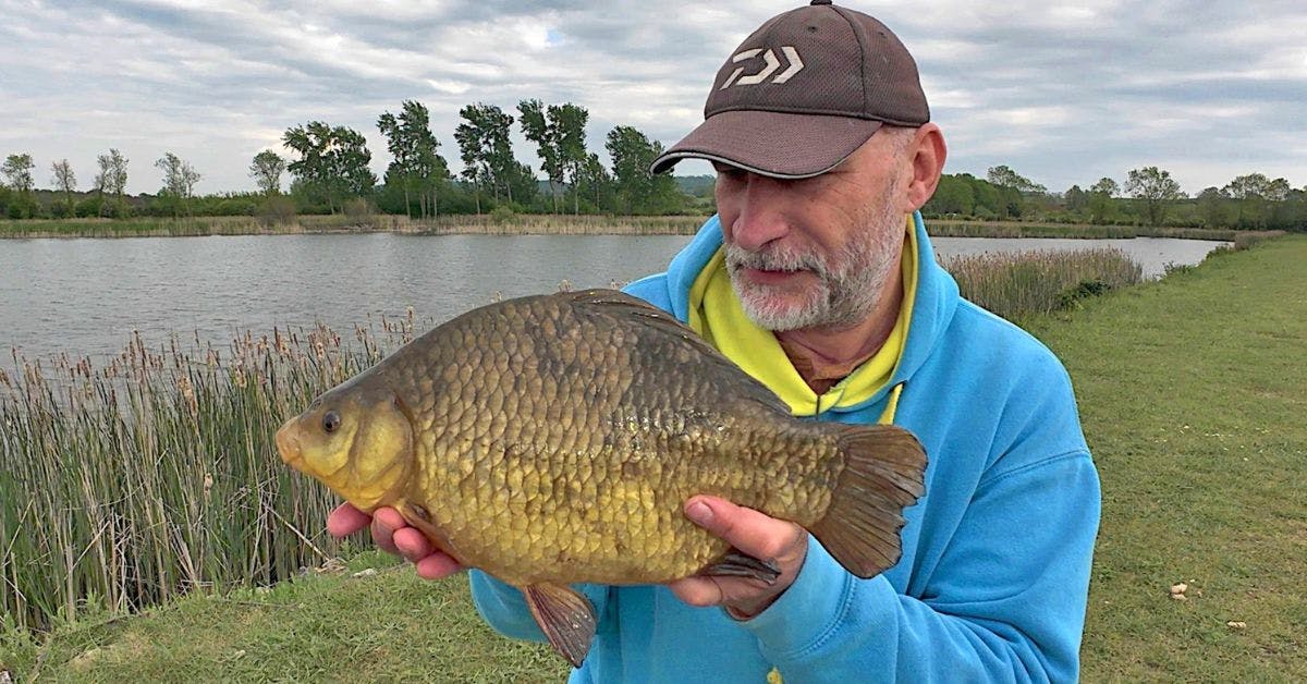 Sceptical Angler Lands Giant Crucian After Following Rumours