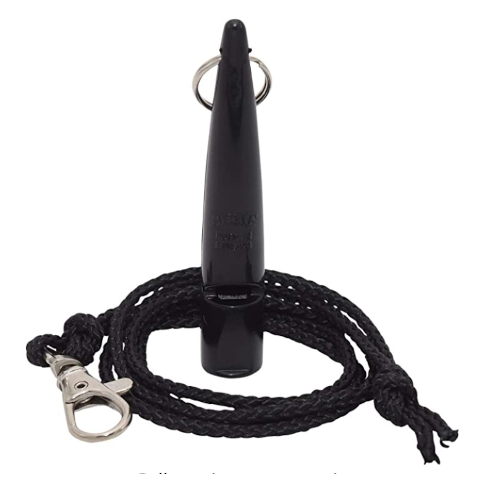 Best Dog Whistle For Training