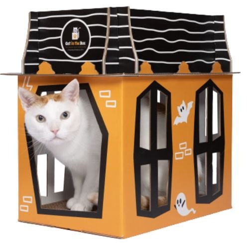 The best pet Halloween costumes for spooky cuteness | Pets | Take A Break