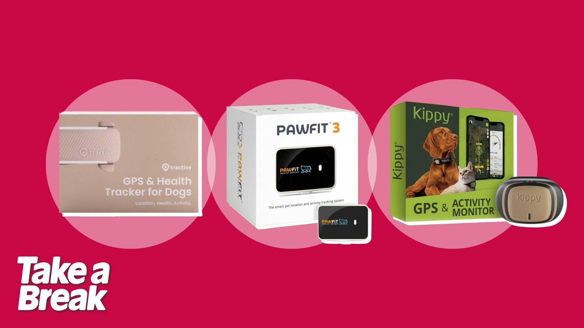 The best dog GPS tracker to keep an eye on your pooch
