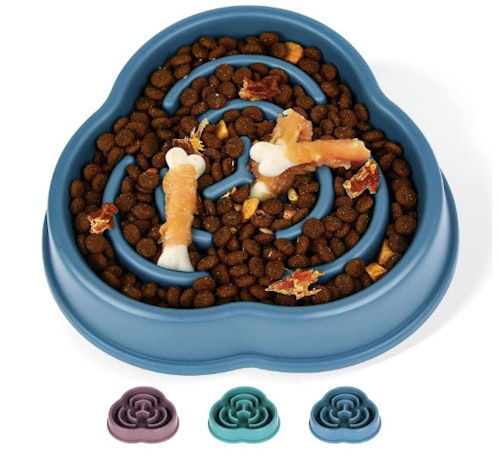 Best slow feeder dog bowls to help your pet calm down at meal times ...