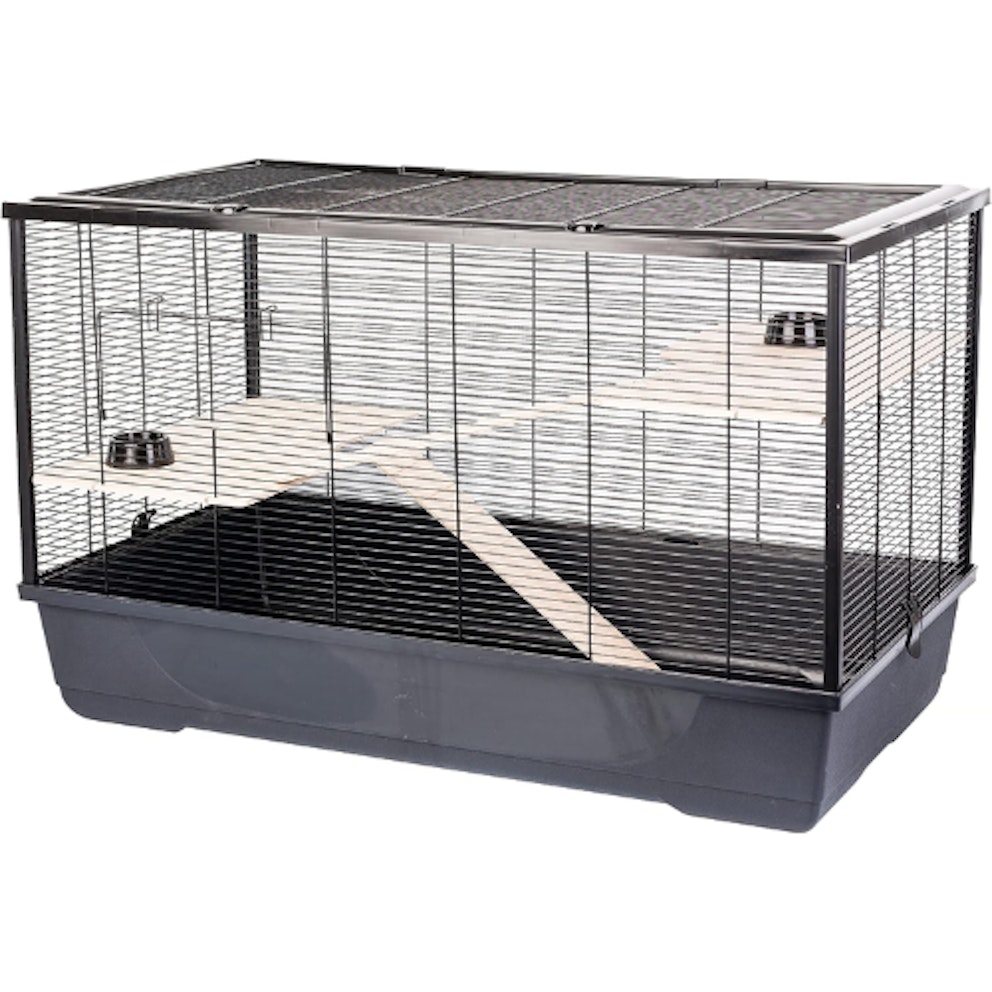 The best hamster cages to keep your tiny pet happy in 2025