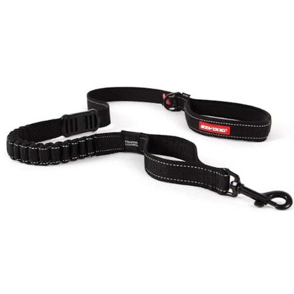 Best leads for dogs that pull for more control on walks