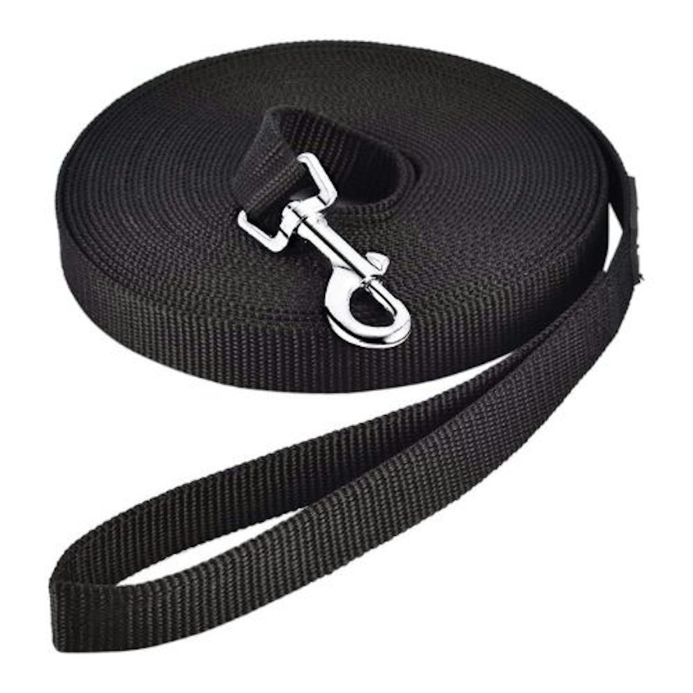 Best dog leads to help with walkies UK 2025