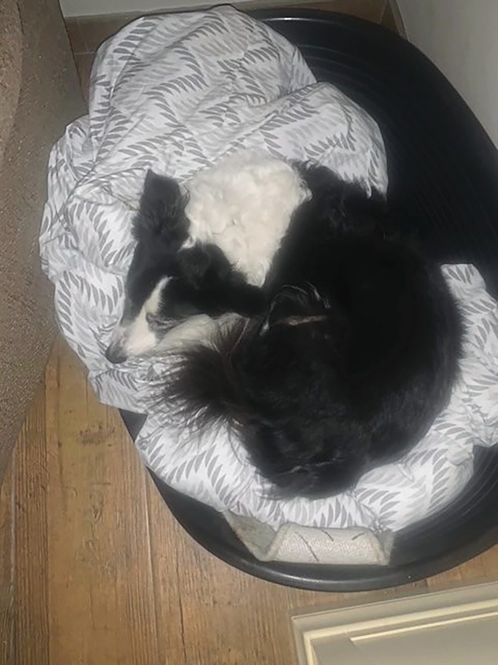 Brainwaves weekly issue 10: fun crafts to try at home | Lifestyle ...