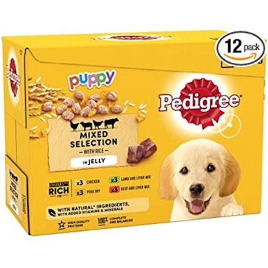 Best cheap dog food in the UK to feed your pooch on a budget