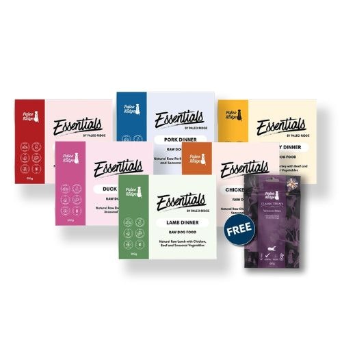 Best raw dog food in the UK | Pets | Take A Break