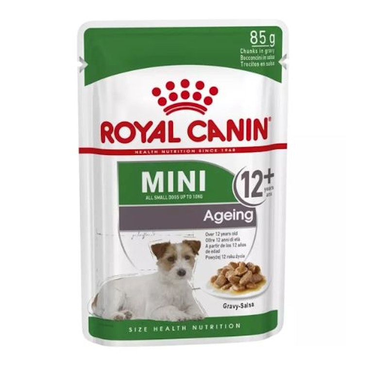 Best senior dog food to feed your ageing pooch