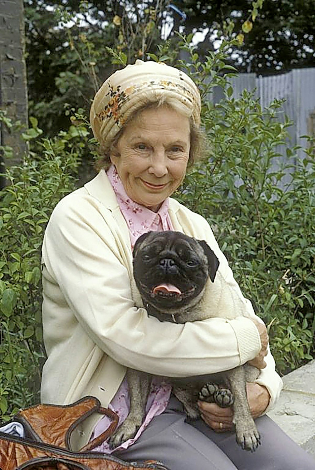 From Wellard to Willy – the best soap opera pets! | Magazine | Take a Break