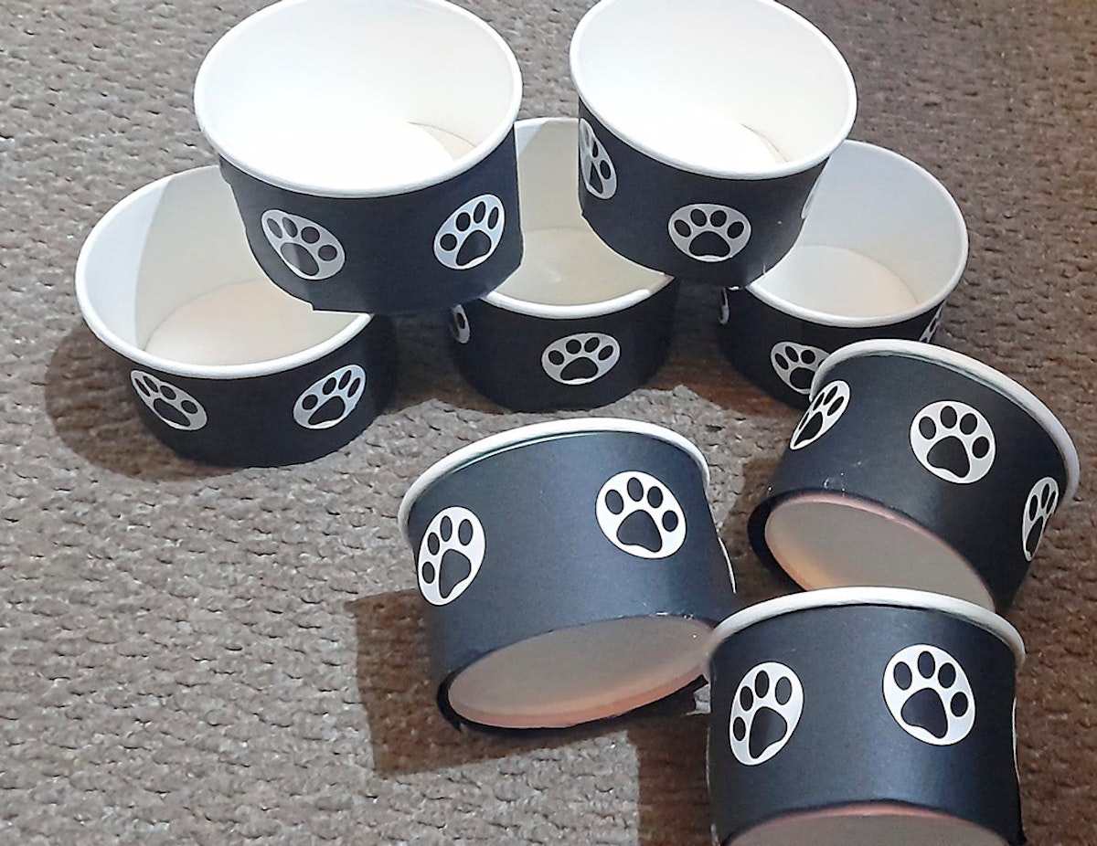 Brainwaves week 25: fun crafts to try at home | Lifestyle | Take a Break