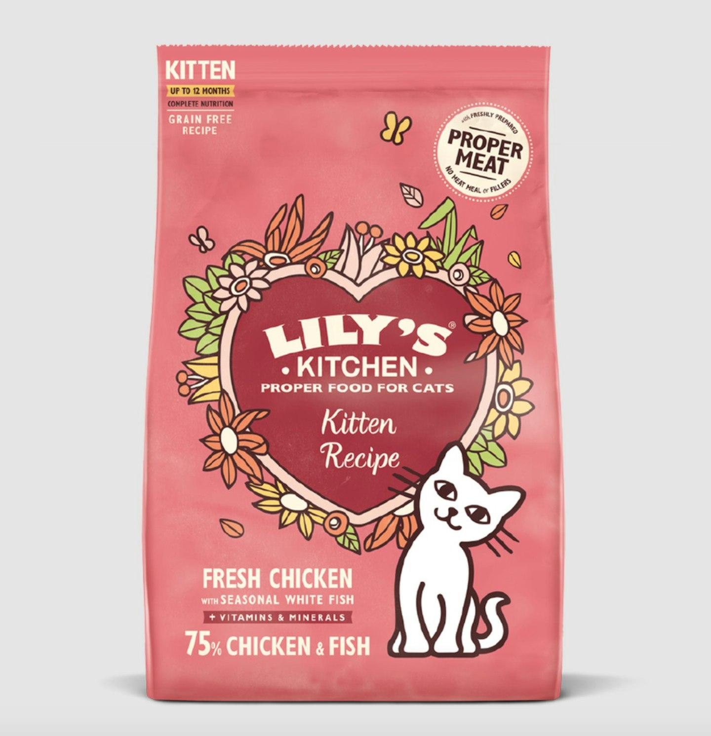 Best kitten food to give your little one the best start in life
