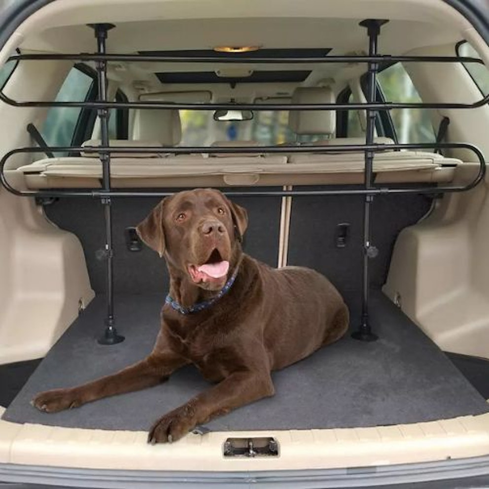 Best Dog Guard Or Barrier For Safe Car Travel