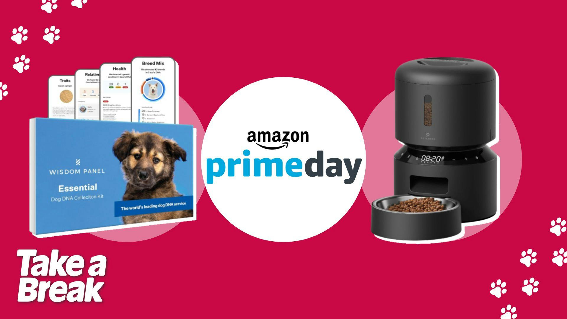 Last chance Amazon Prime Day pet deals to stock up and save 2024