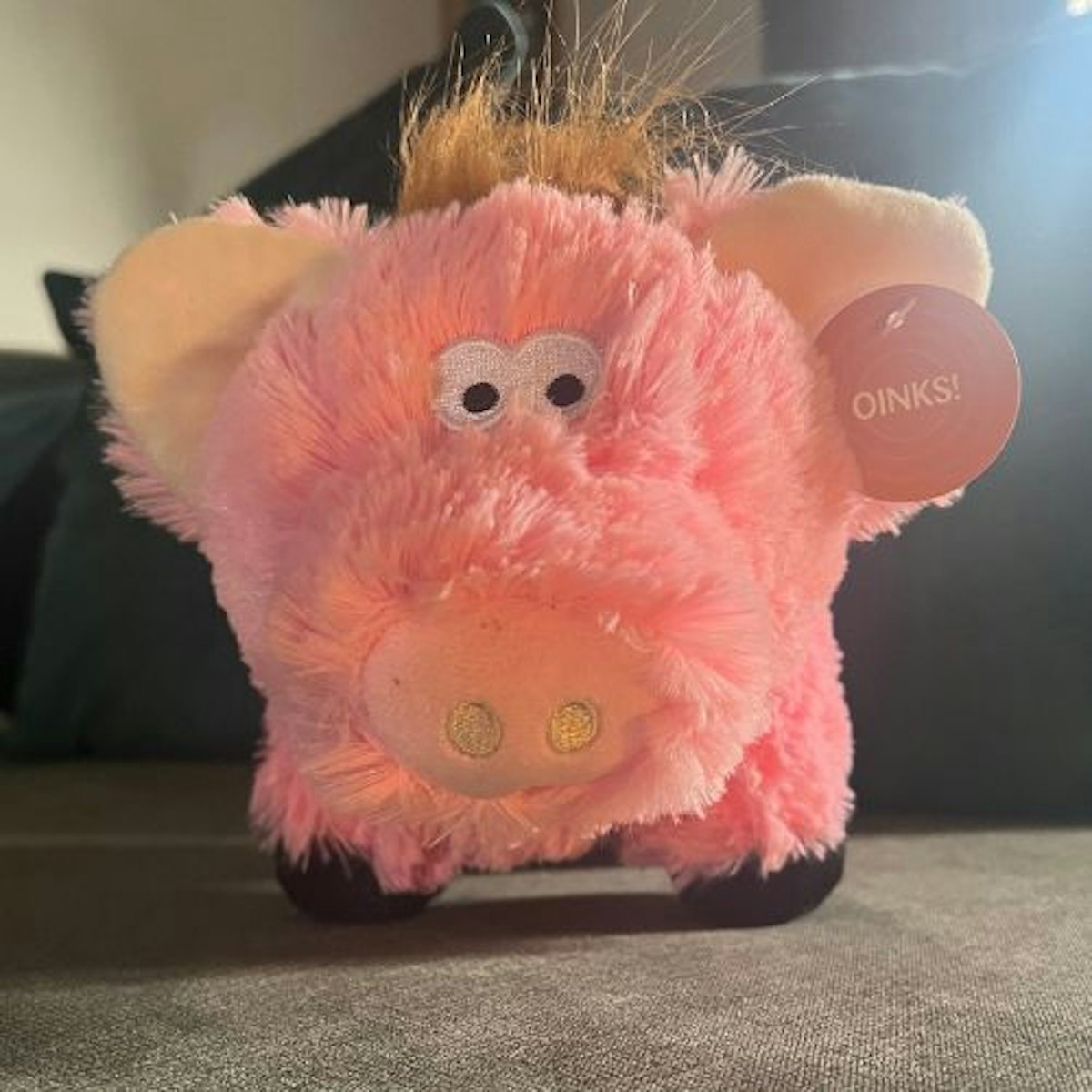 Best Soft Toys For Dogs