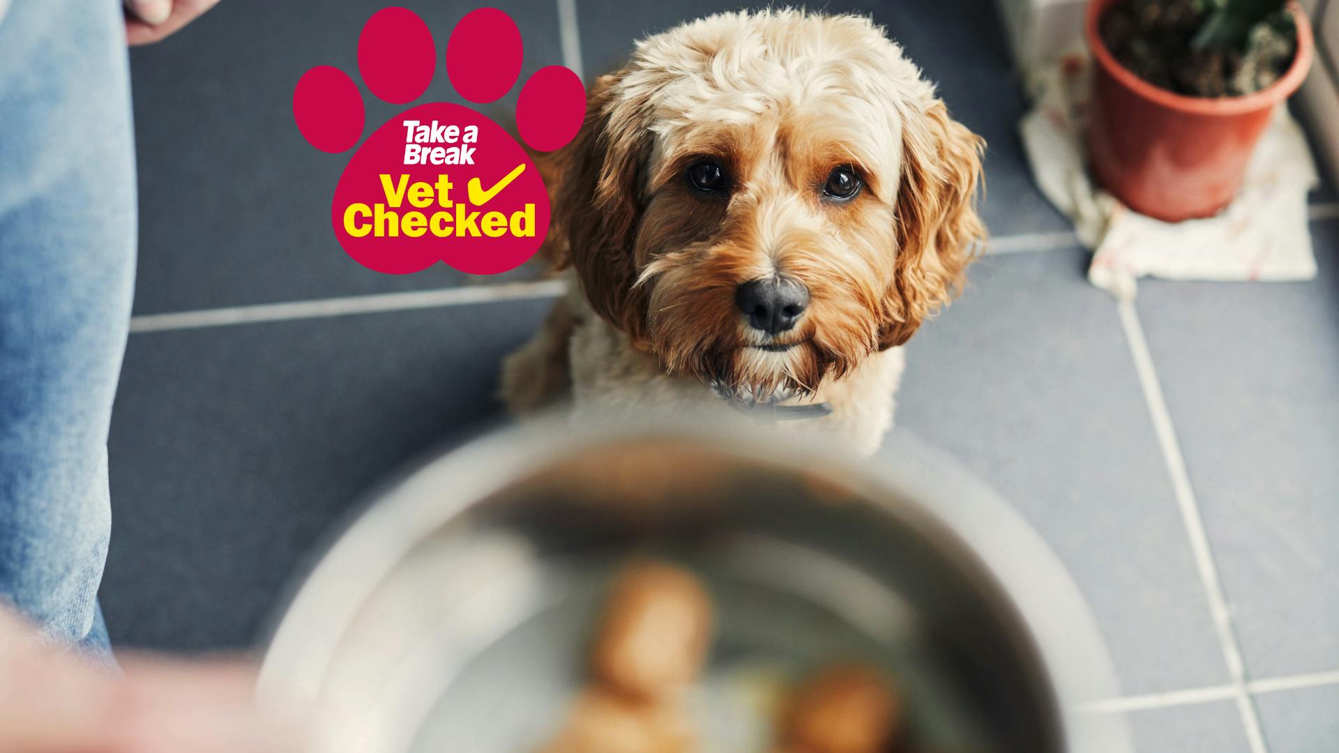 12 best dog food brands: beloved and approved by vets 2024