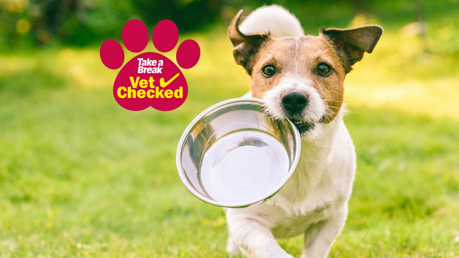 Pets | Take a Break