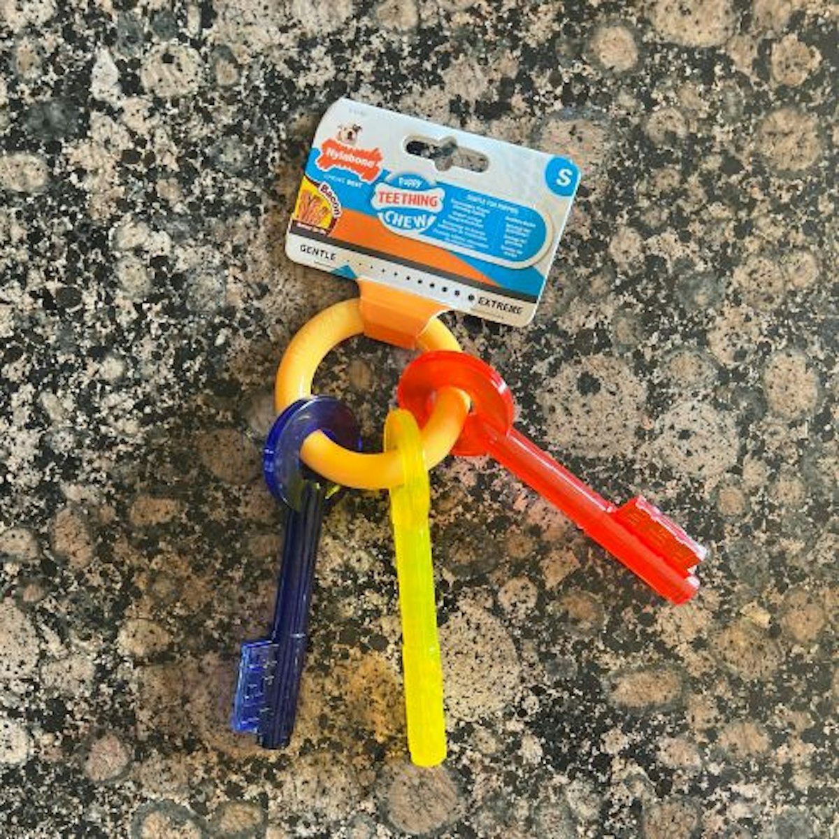 Best puppy toys to keep your new arrival entertained