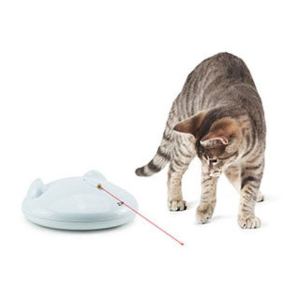 Best interactive cat toys to stimulate and entertain in 2025