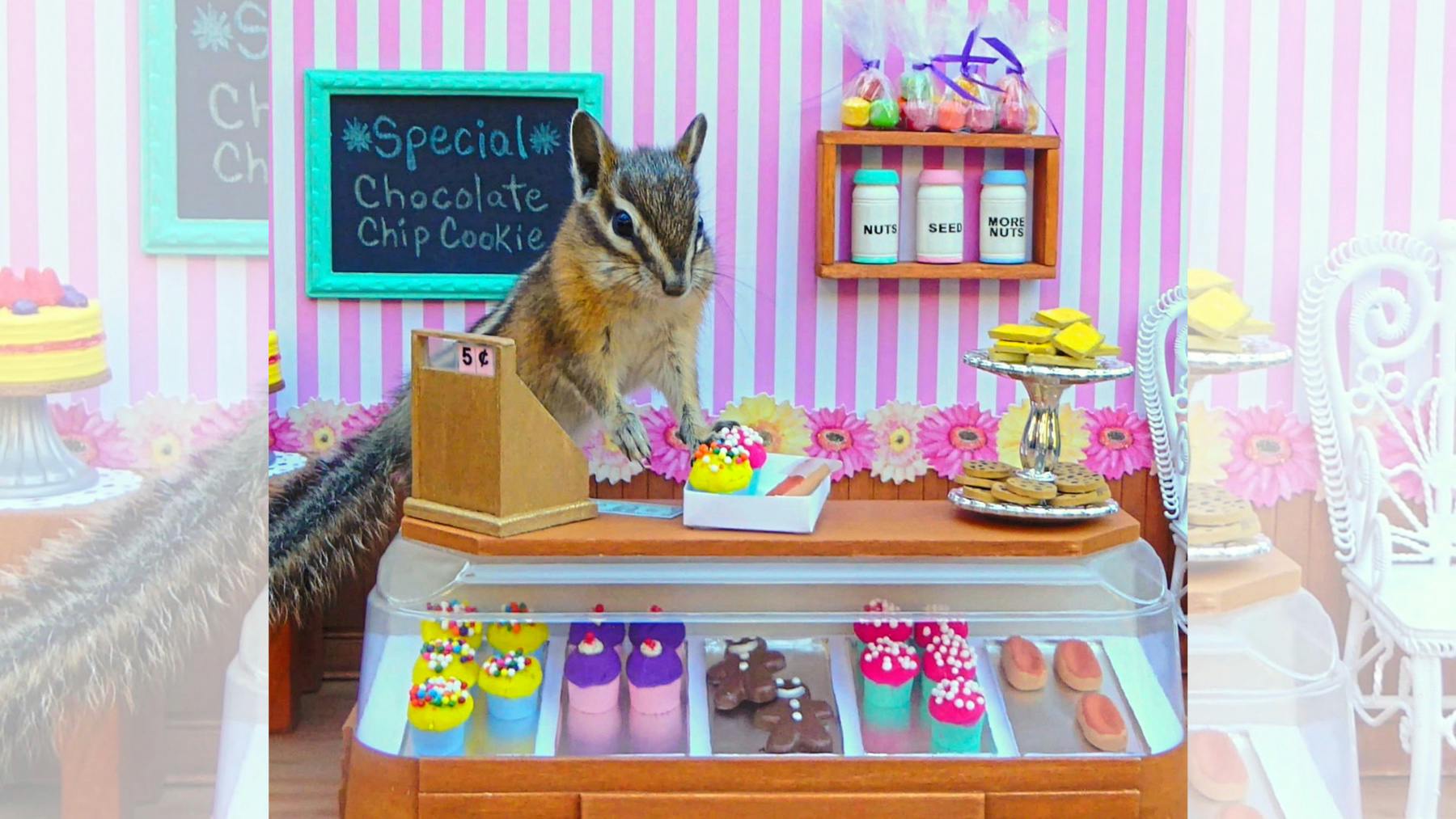 A friendly chipmunk is my muse! | Real Life | Take a Break
