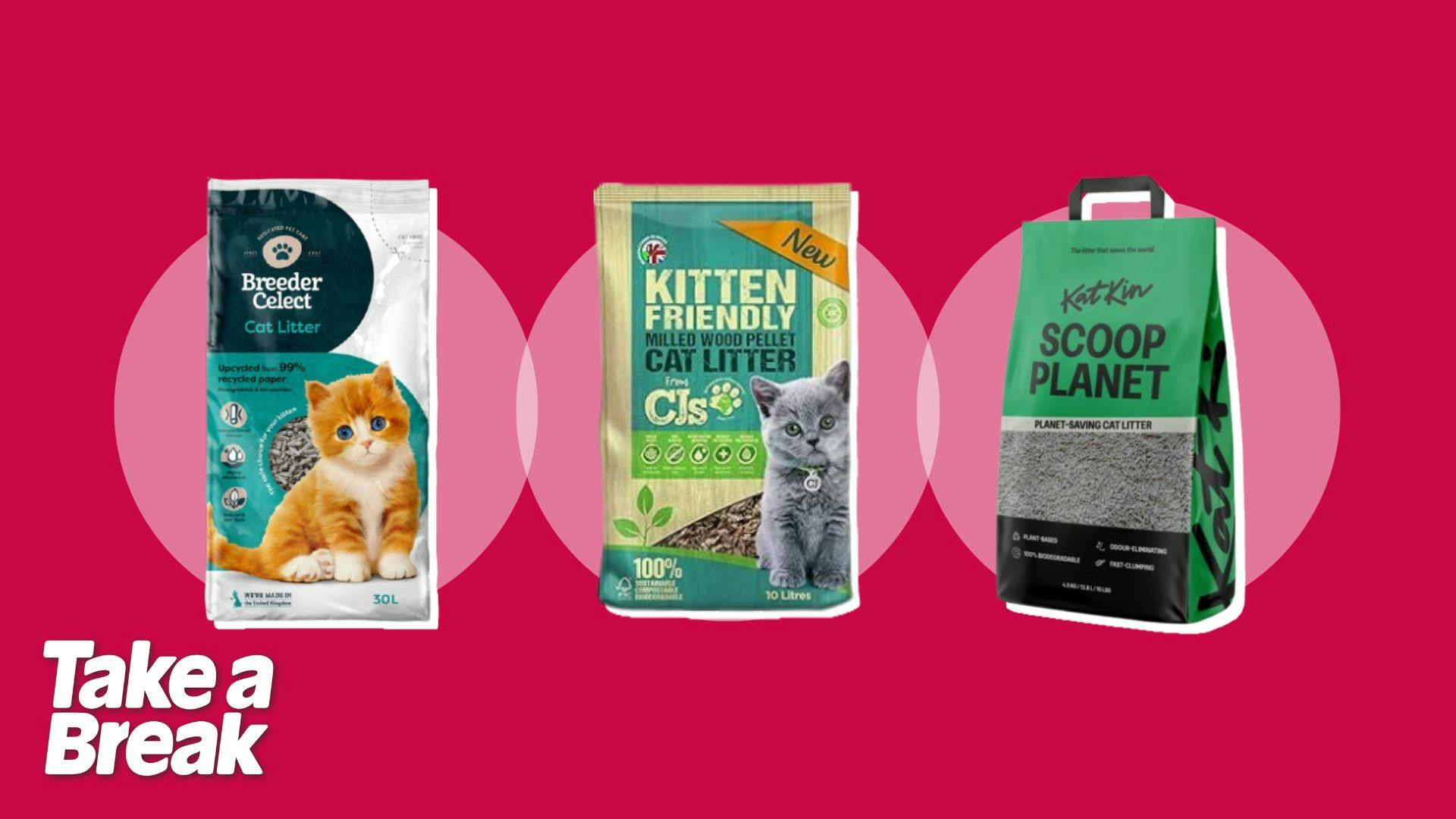 Best cat litter for kittens 2025