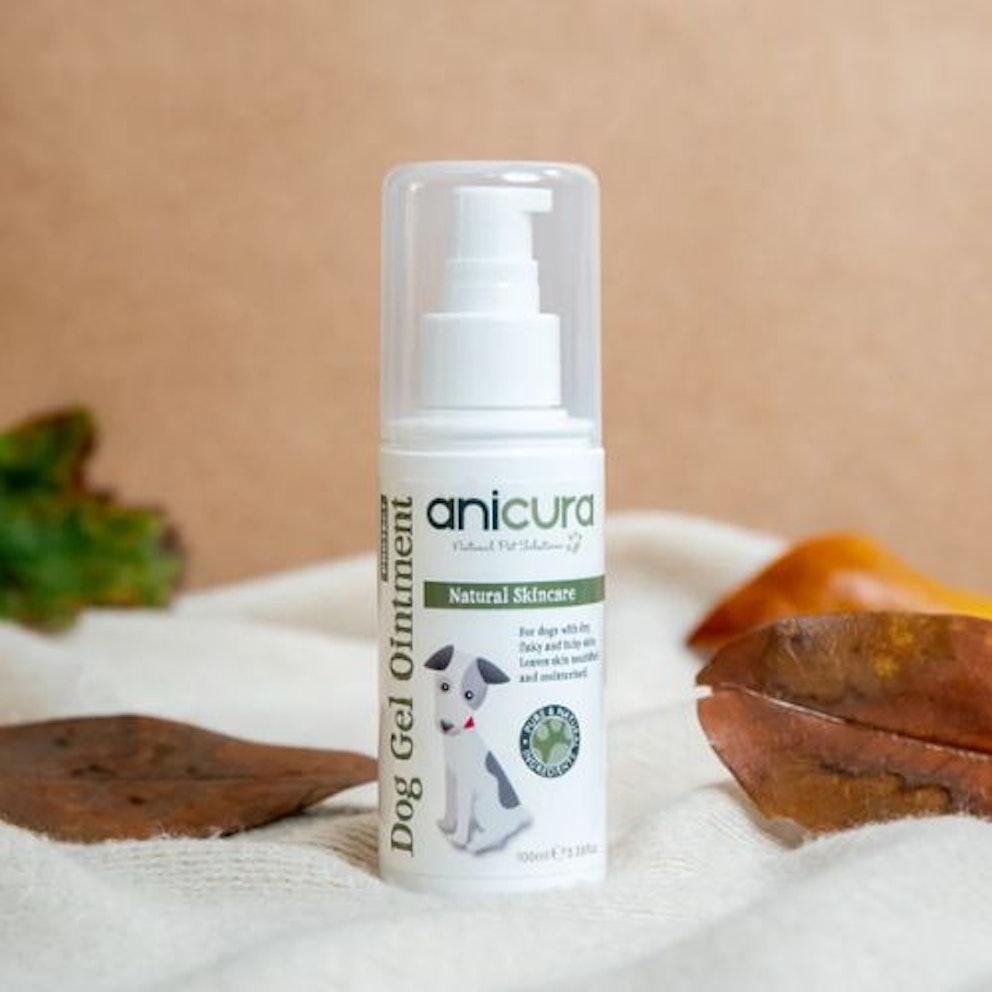 9 soothing dog supplements for itchy skin