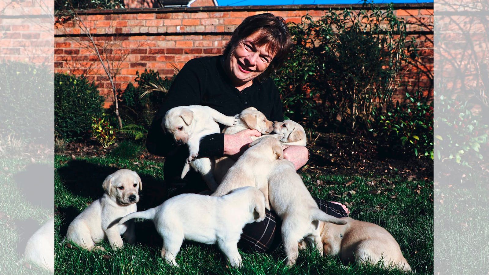 I raise guide dog puppies | Real Life | Take a Break