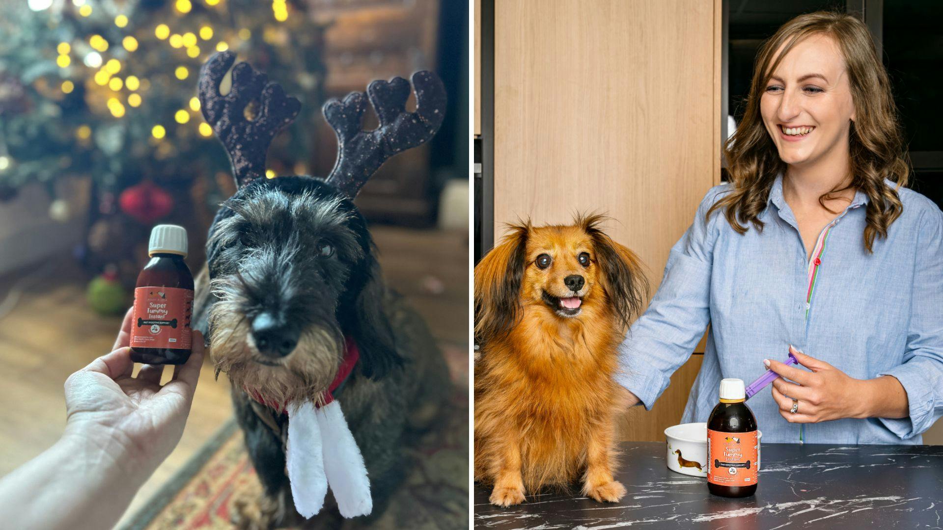 Buddy & Lola Super Tummy Instant: Looking after dog tummies