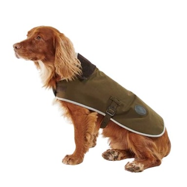 Best waterproof dog coats for protection on wet walks