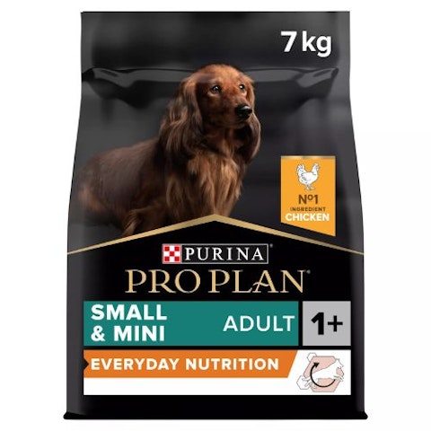 14 best dry dog food for small dogs to keep them healthy