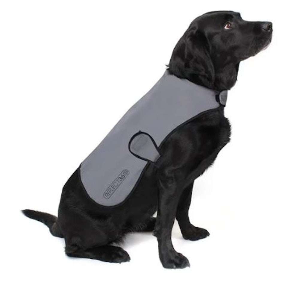 Best reflective dog coats to keep your pooch safe and seen