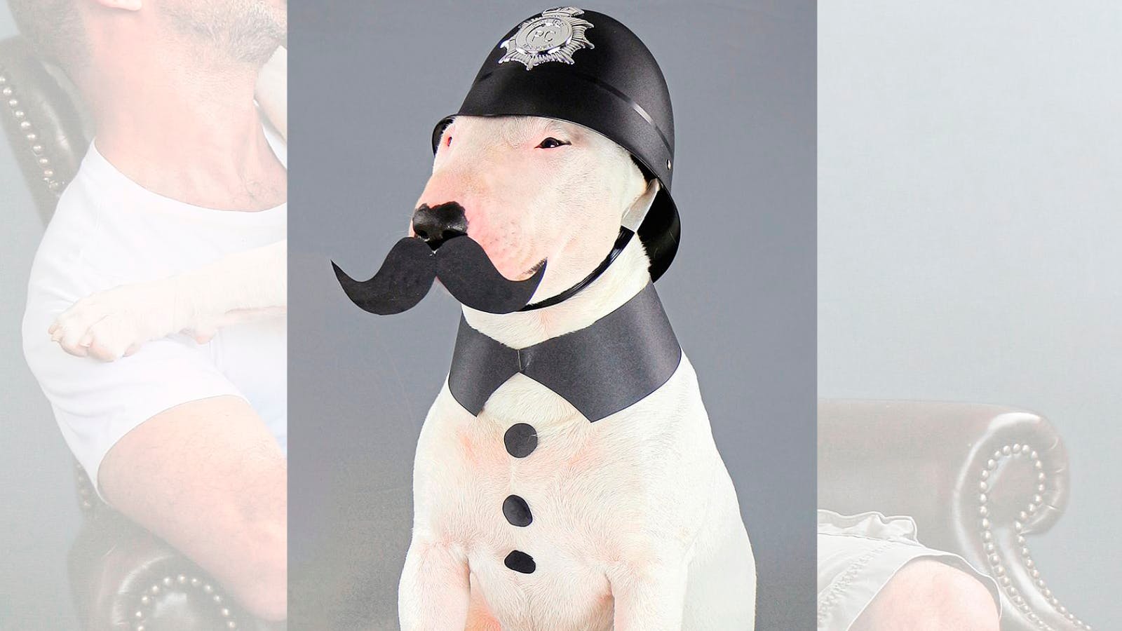 I dress my dog up as famous works of art