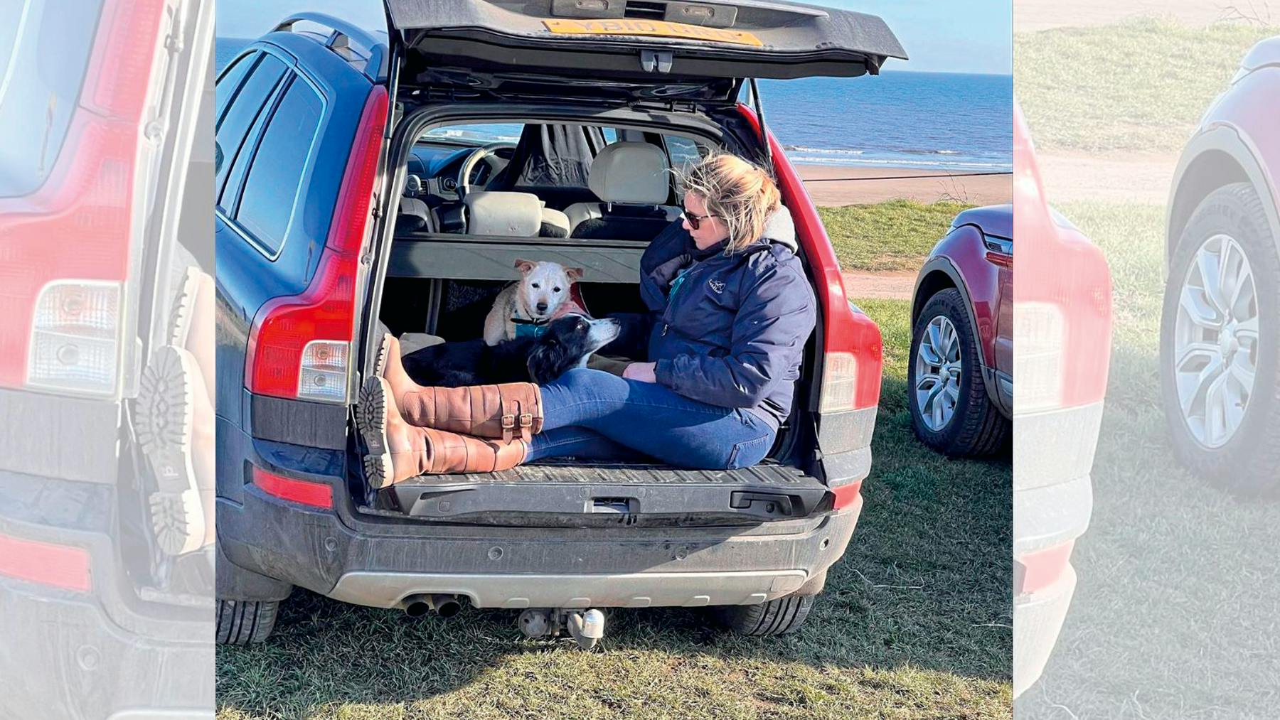 One last walks: How kind strangers helped me say goodbye to my beloved ...