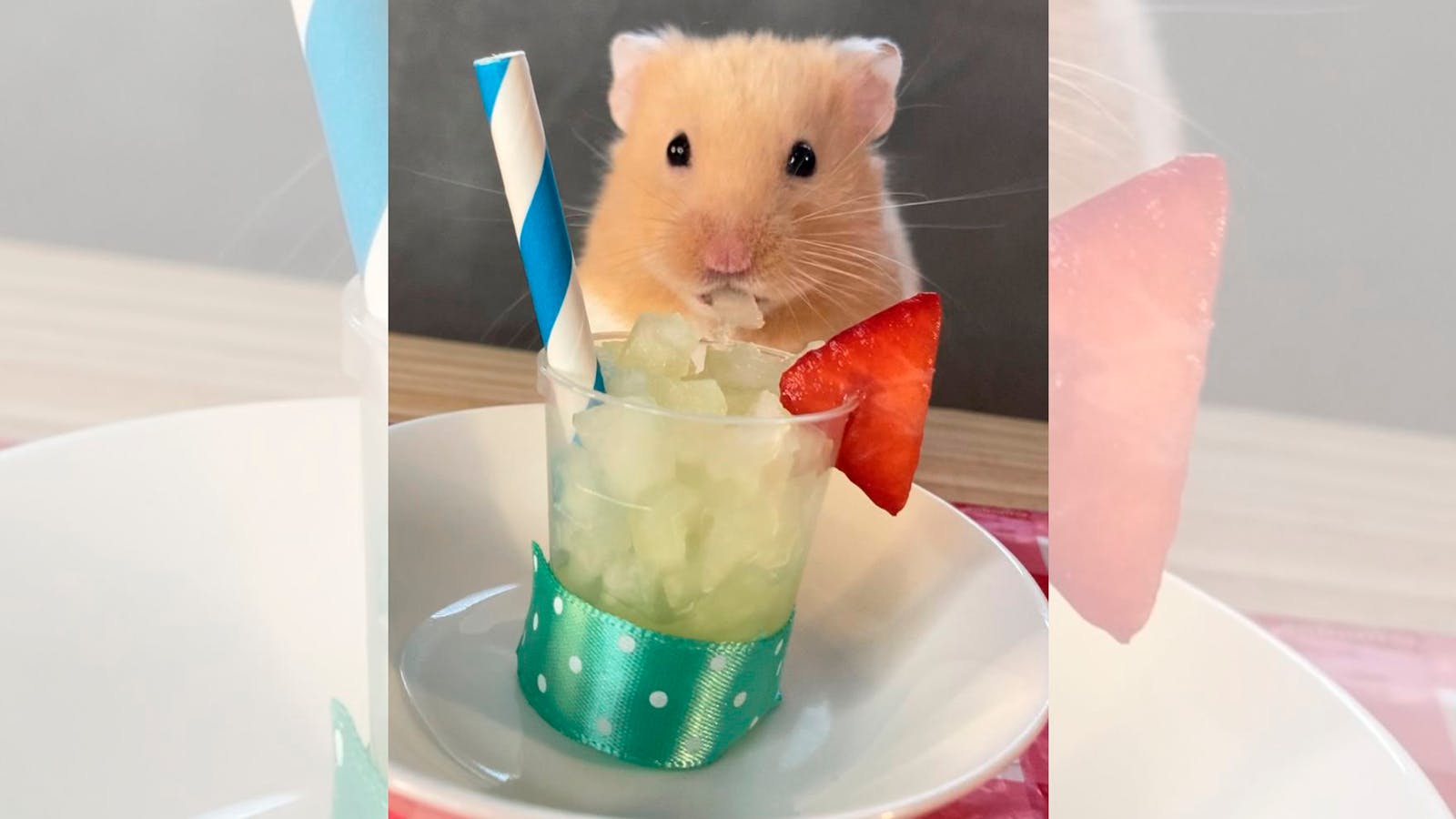 Stories | Real Life | Take A Break