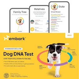 The 7 best dog DNA tests 2025: Easy-to-use at home kits