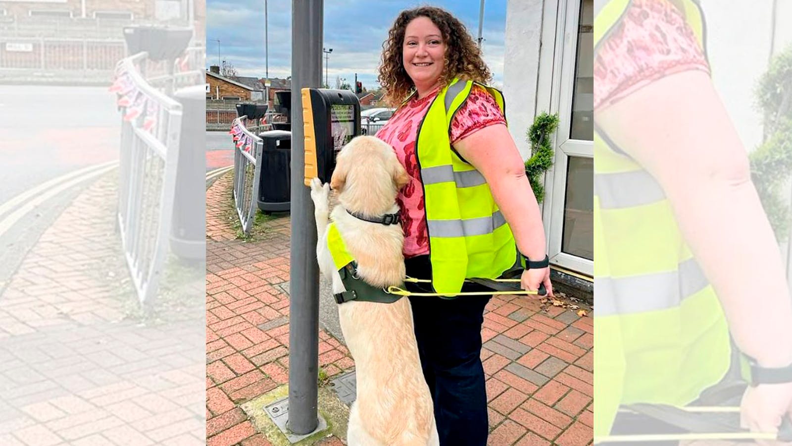 A guide dog saved my life