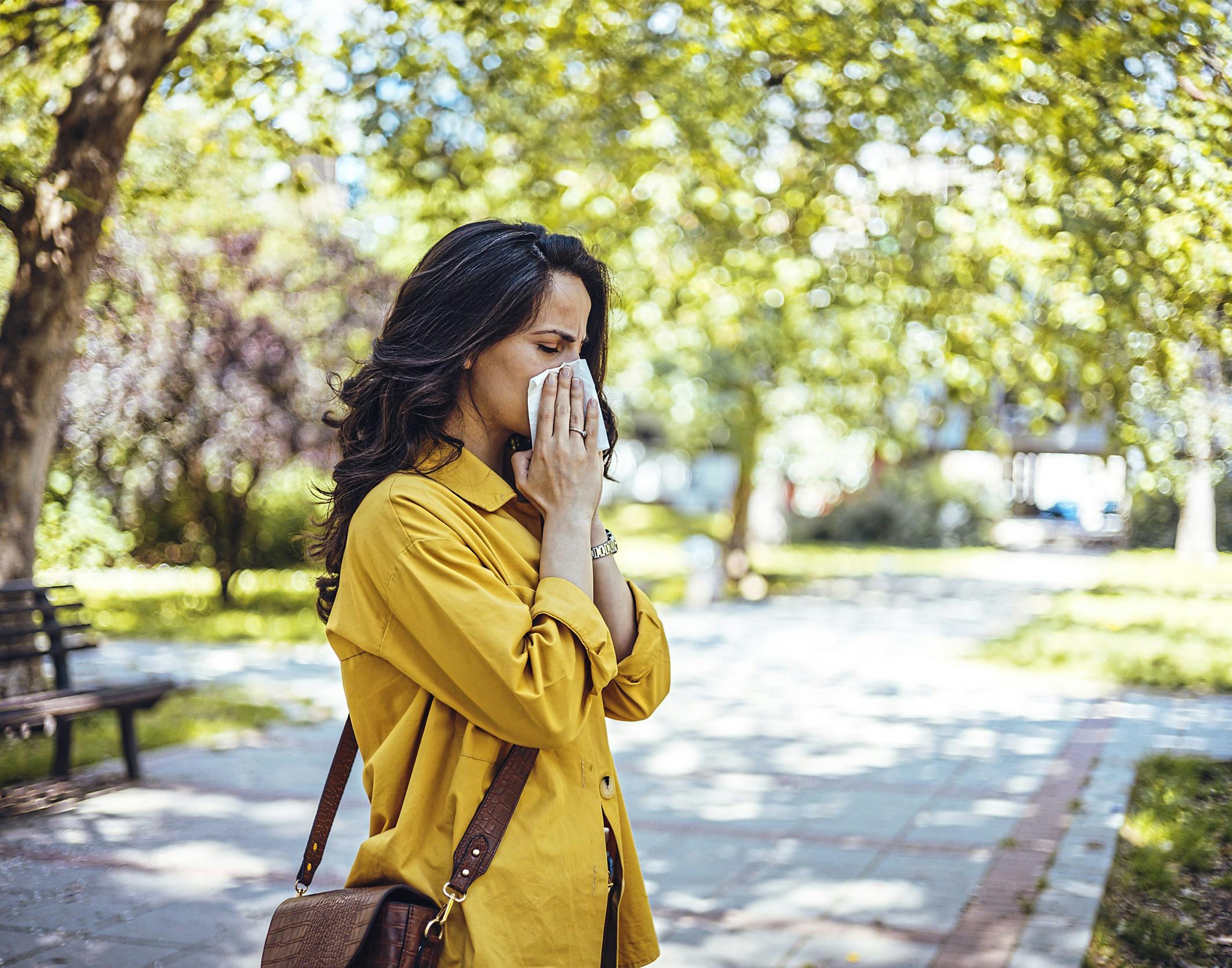 Have I got...HAY FEVER OR A COLD?