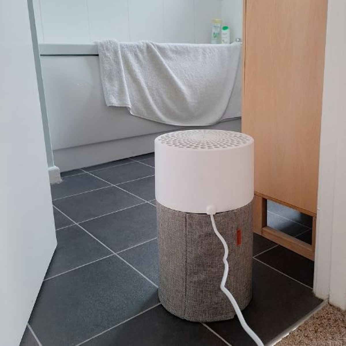 Best air purifier for pets 2025: combat smells and allergies