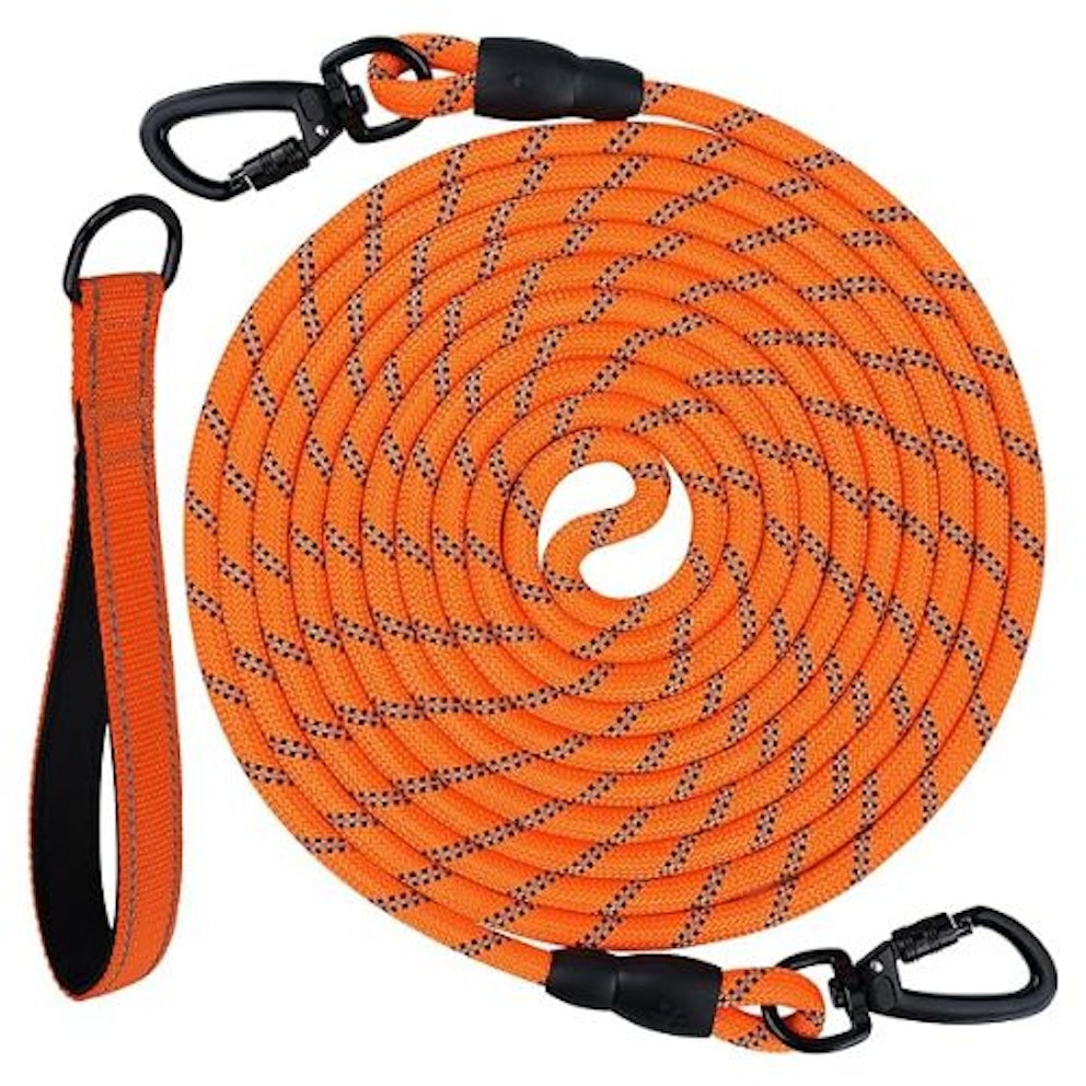 Best long-line training lead for dogs to help with recall