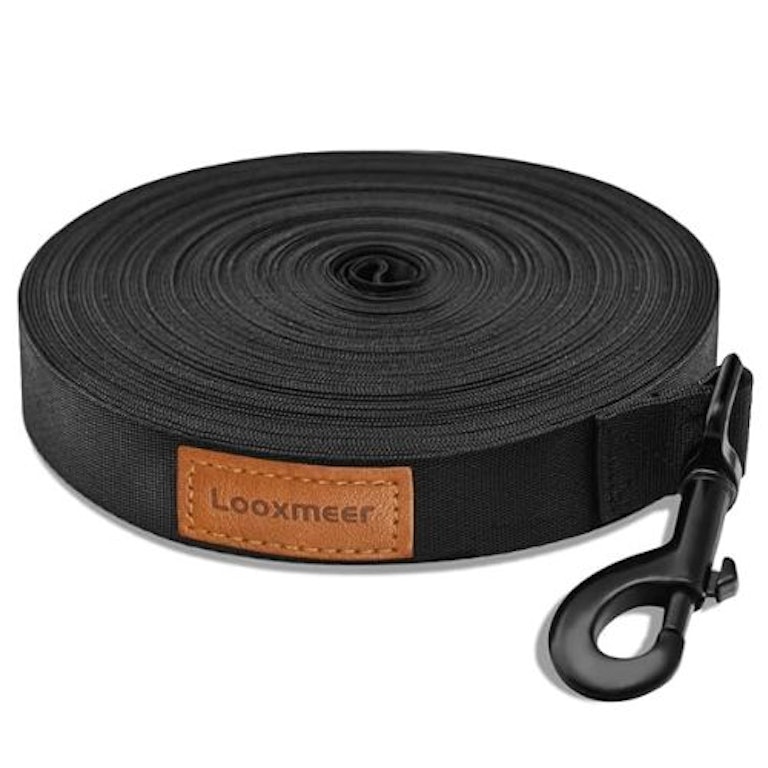 Best long-line training lead for dogs to help with recall