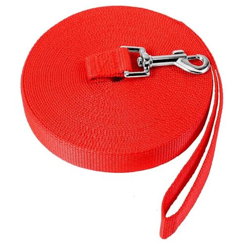 Best long-line training lead for dogs to help with recall